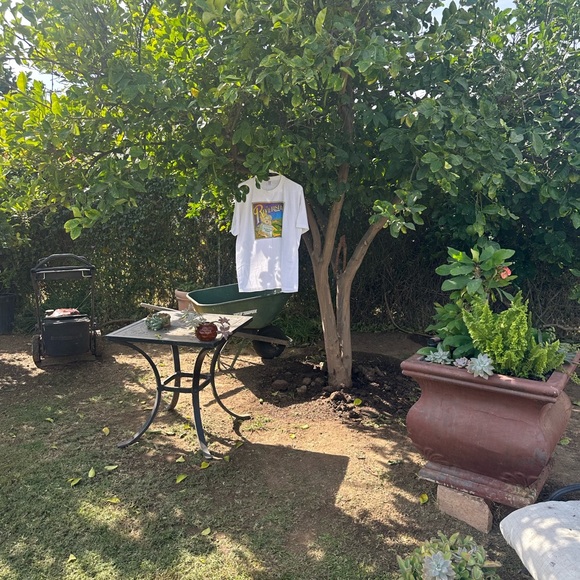 American Vintage | Shirts | Vintage Riverside Tee | Poshmark